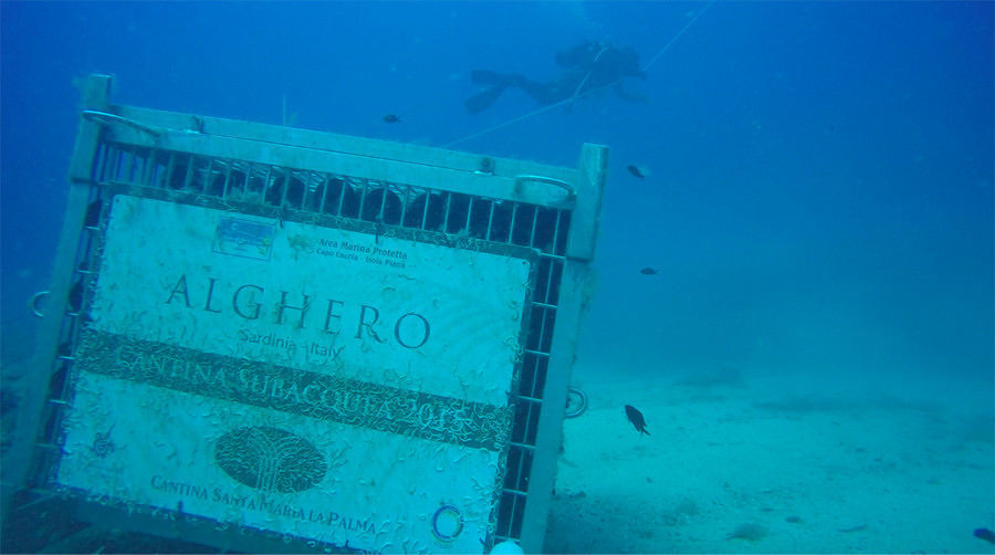 Cantina Santa Maria La Palma - Shop online. Akènta Sub Vermentino di ...